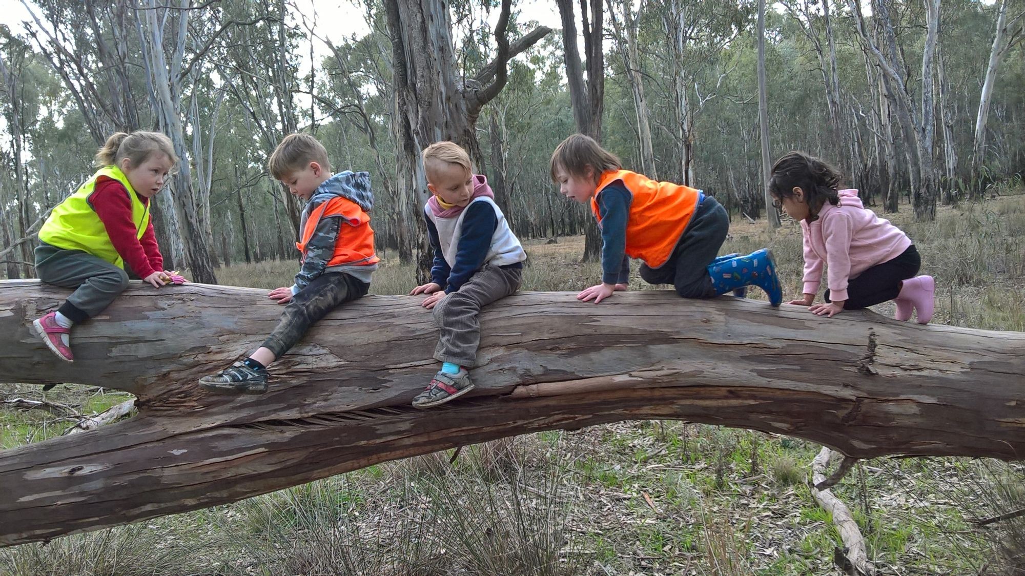 Children and Early Years Services - Greater Shepparton City Council
