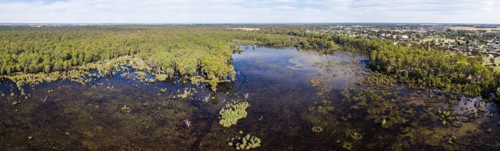 Our waterways - Greater Shepparton City Council